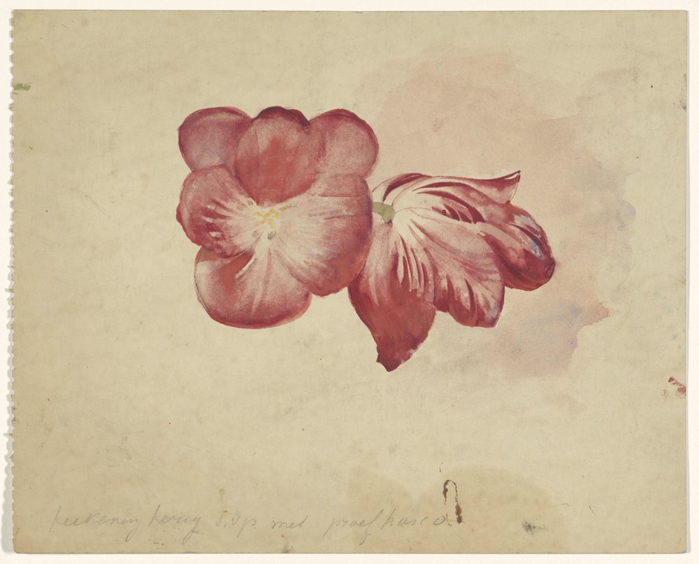 Deux tulipes rouges | Carel Adolph Lion Cachet