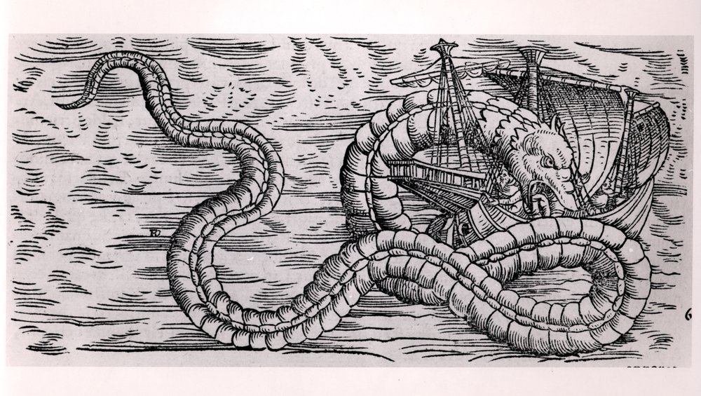 Dessin De La Carte Du Serpent De Mer Serpent De Mer | Wiki Orba Fabula