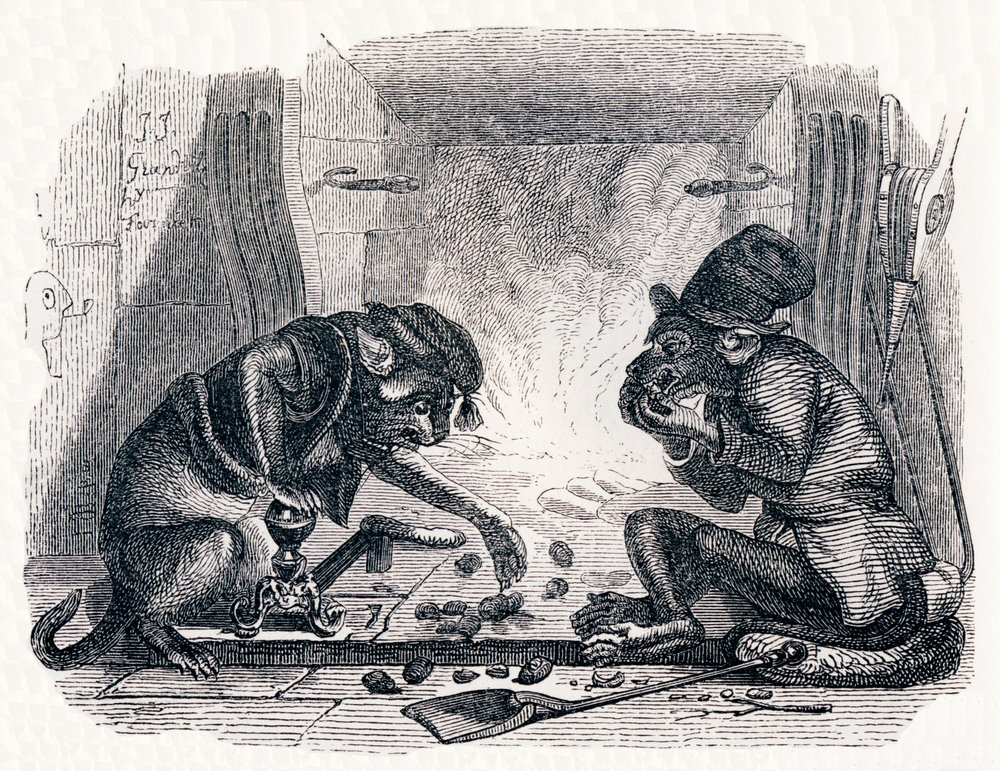 Le singe et le chat - Fables de La Fontaine | Grandville