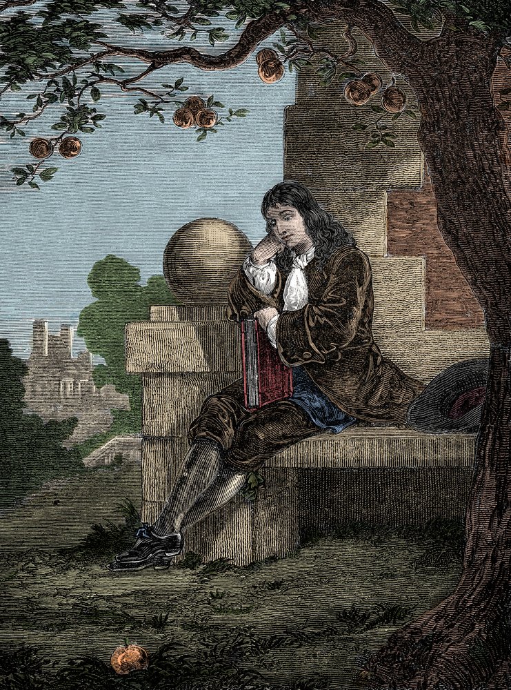 Isaac Newton observant une pomme tomber au sol alors qu'il est assis ...