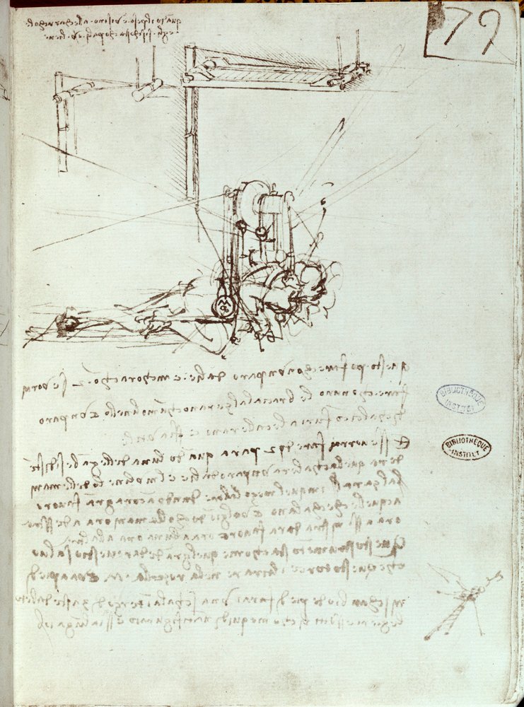 Dessin de machine volante | Leonardo da Vinci
