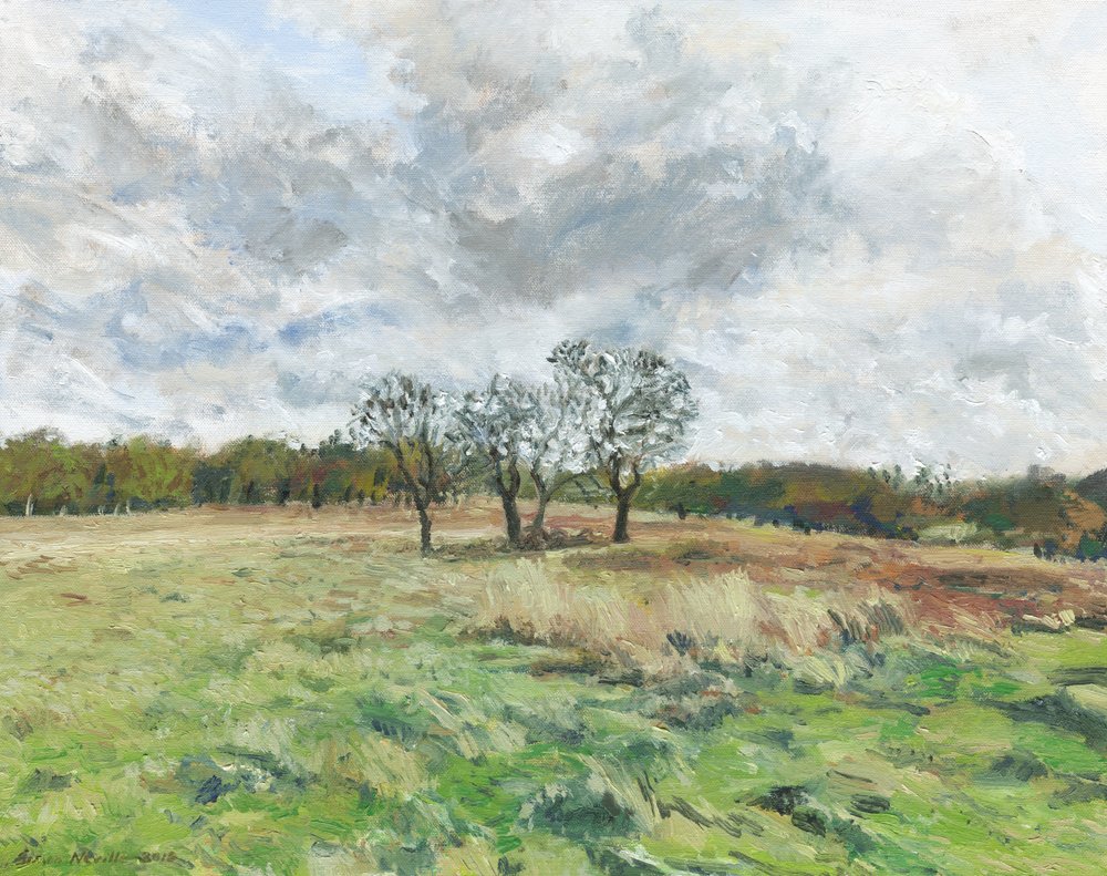 Richmond Park (huile sur toile) | Simon Neville