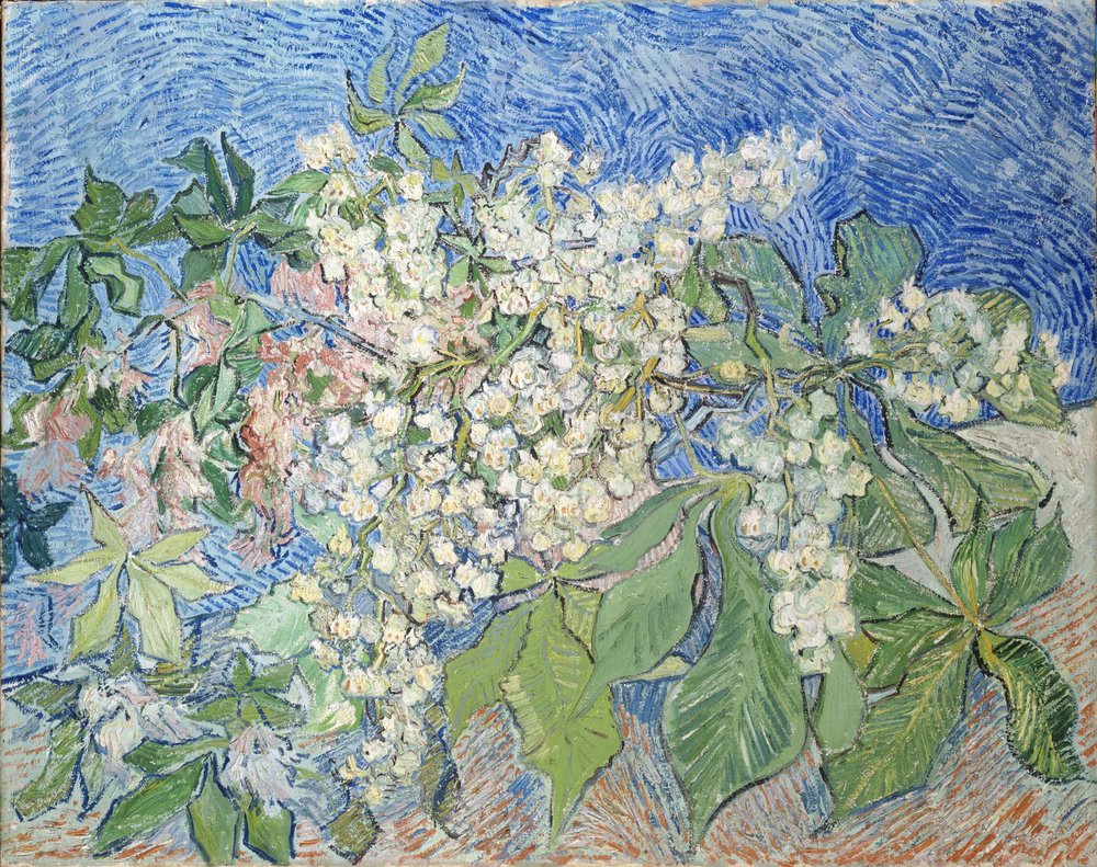 Branches de marronniers en fleur | Vincent van Gogh