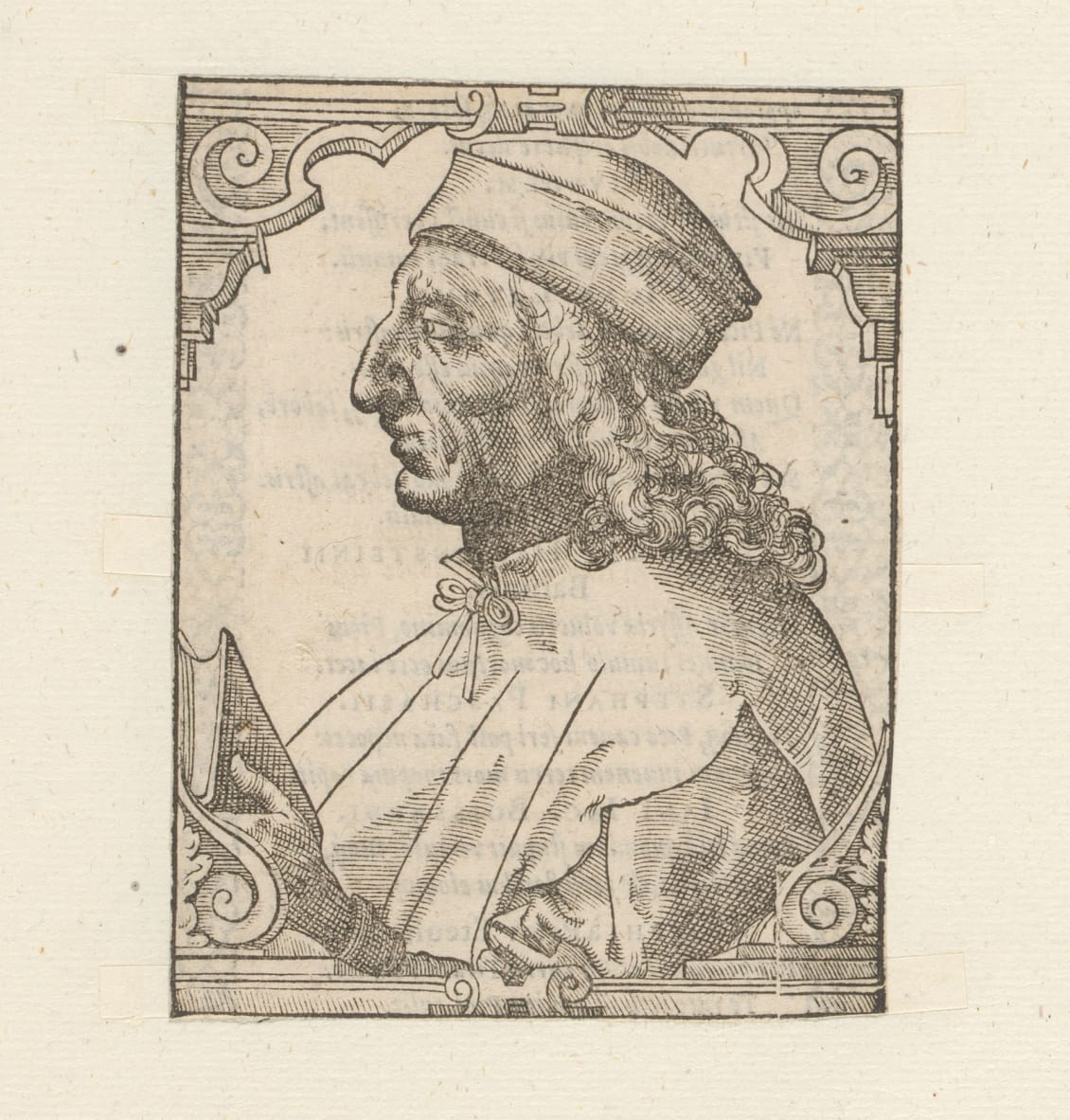 Portrait de Julius Pomponius Laetus de Anonymous