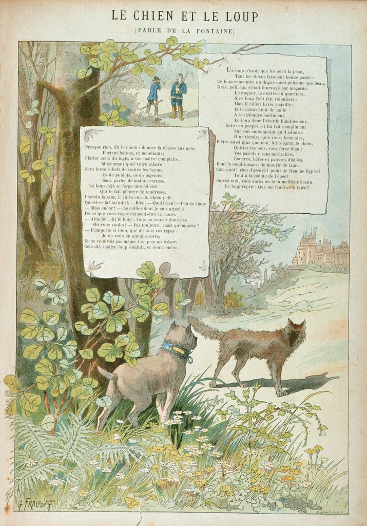 Le chien et le loup, de &Fables& de Jean de La Fontaine (1621-95 ...