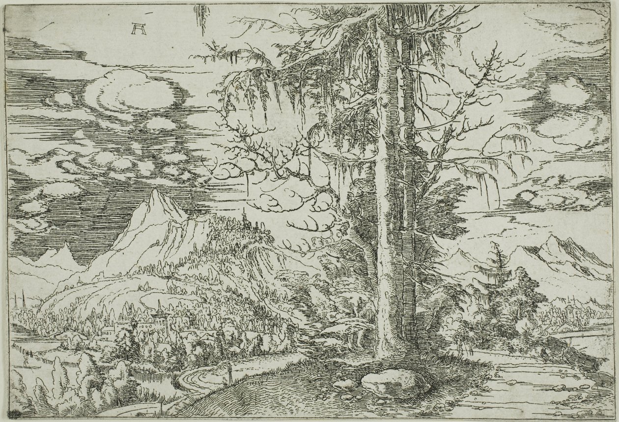 Paysage avec un double épicéa | Albrecht Altdorfer