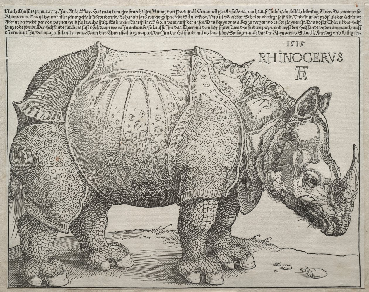 Le Rhinocéros | Albrecht Dürer | Estampe d'art