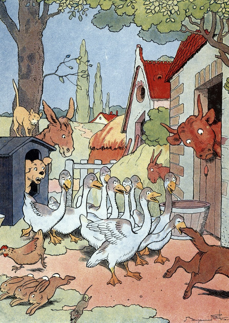 Les oies du Capitole de Toulouse donnent l'alerte contre une attaque gauloise