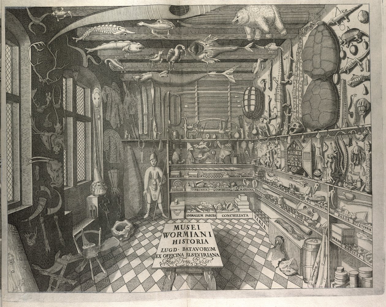 Frontispice 'Musei Wormiani Historia' de 'Museum Wormianum' par Ole Worm