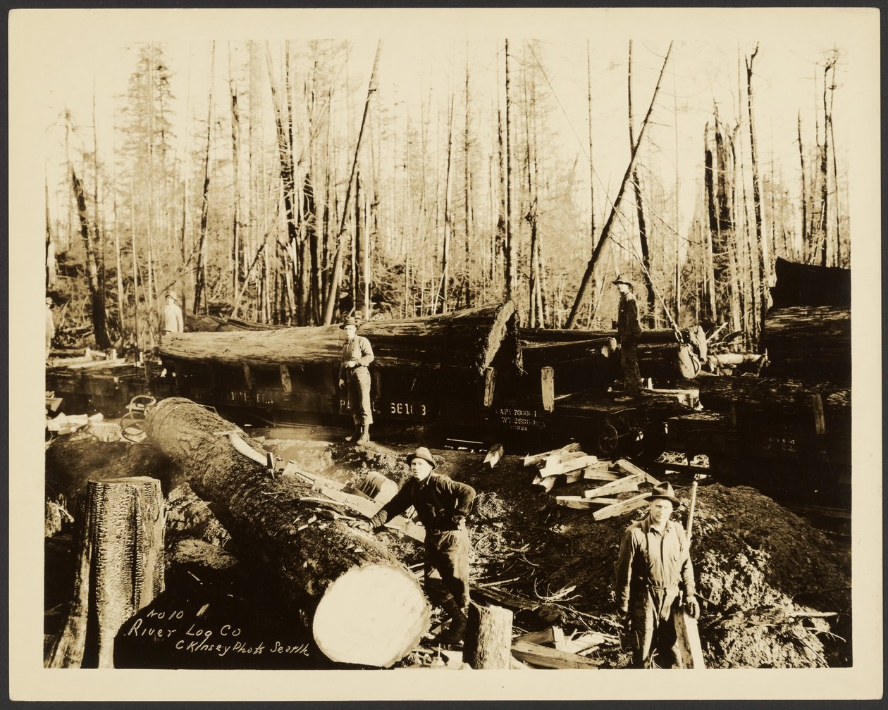 [Loggers] | Darius Kinsey | Estampe d'art