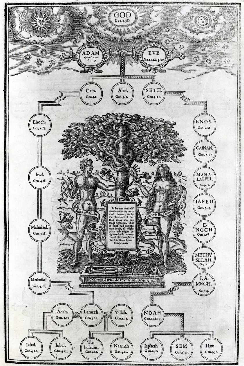 L'arbre généalogique d'Adam et Ève, 1556