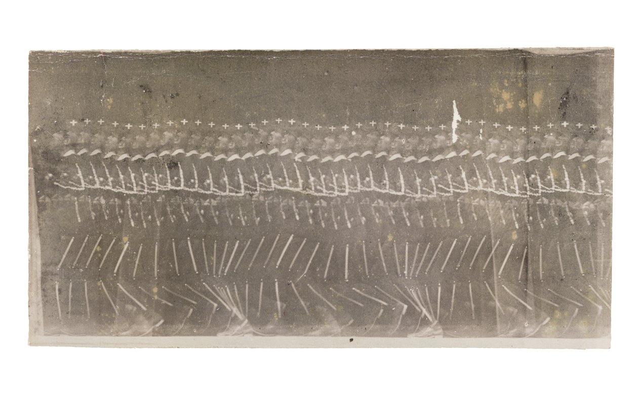 Homme marchant, 1882 | Etienne Jules Marey | Estampe d'art