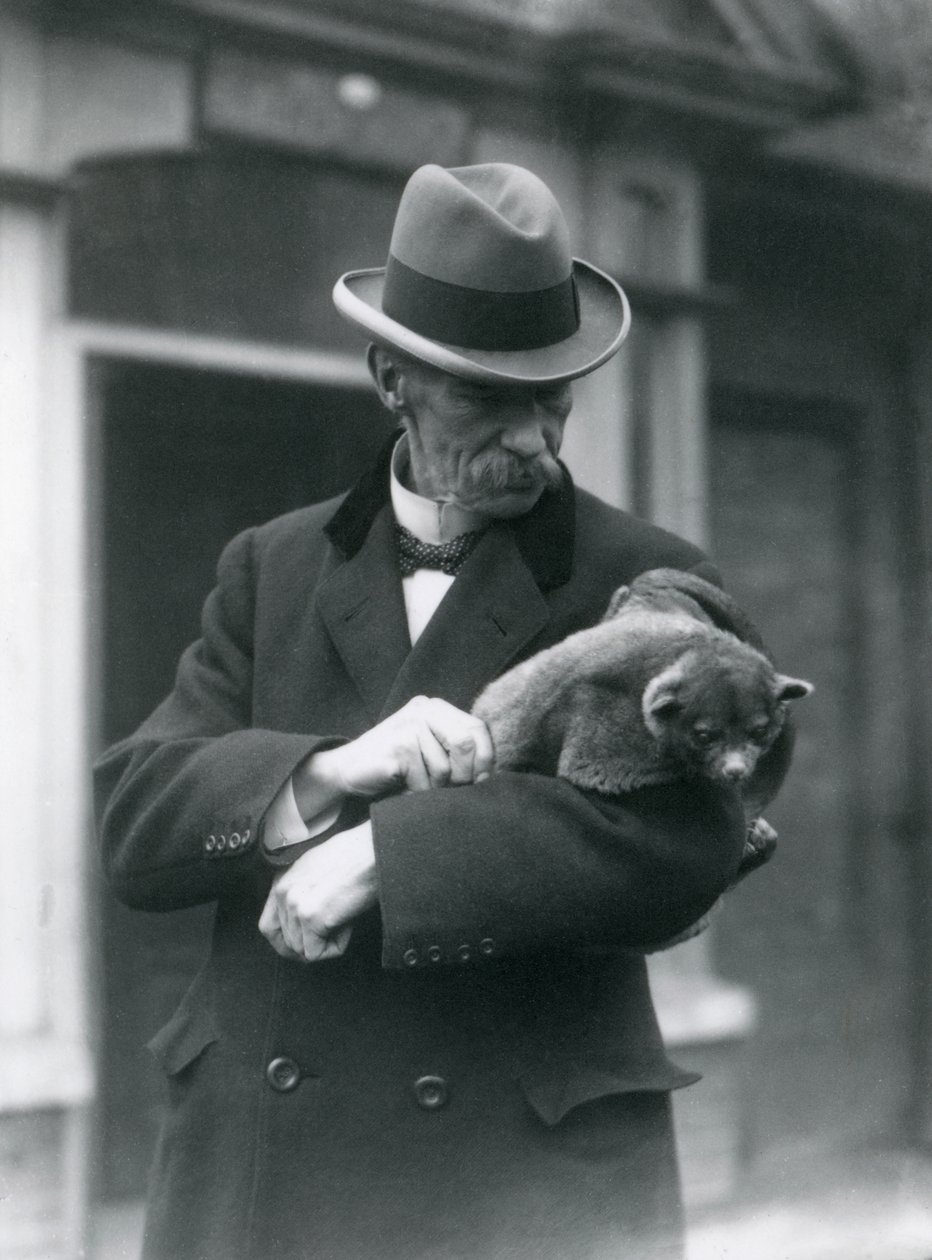 Reginald Innes Pocock F.R.S. tenant un kinkajou, zoo de Londres, 1923
