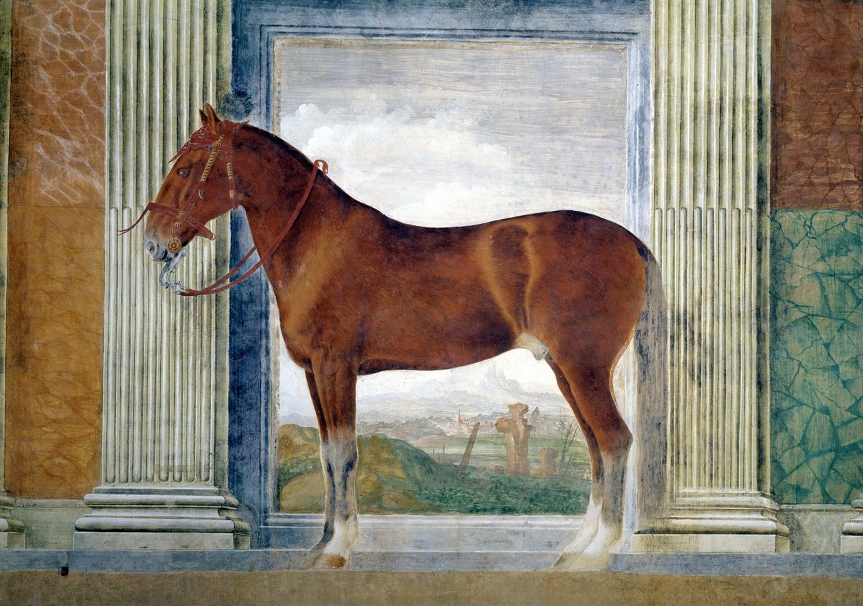 Sala dei Cavalli, détail montrant un portrait d&un cheval alezan des ...