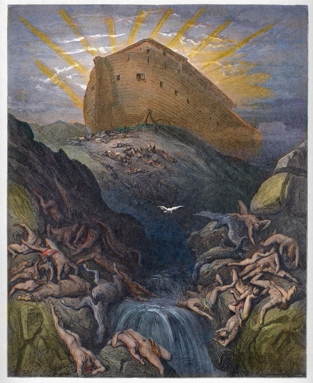 L'Arche de Noé - La colombe envoyée depuis l'Arche - La colombe envoyée ...