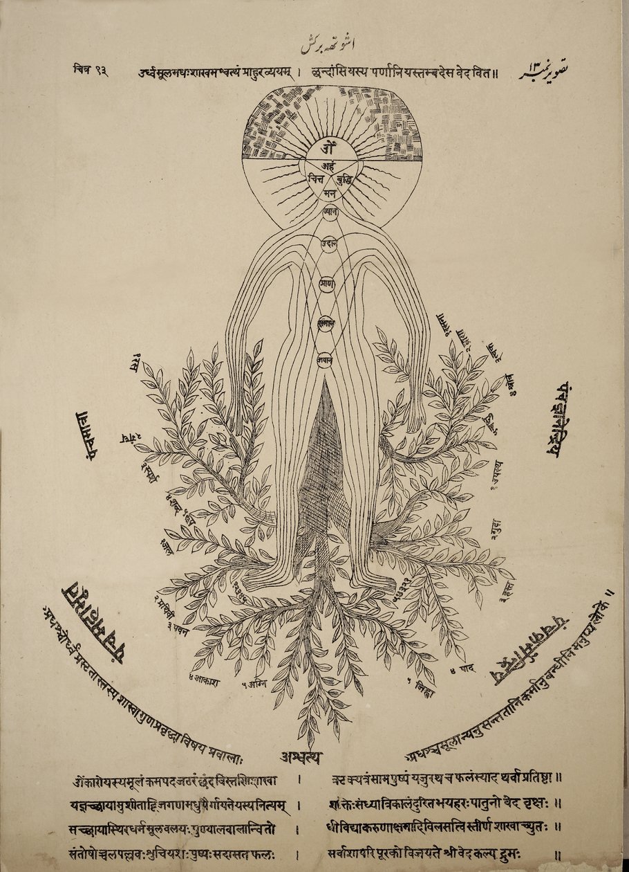 Diagramme montrant les points méridiens sur le corps humain