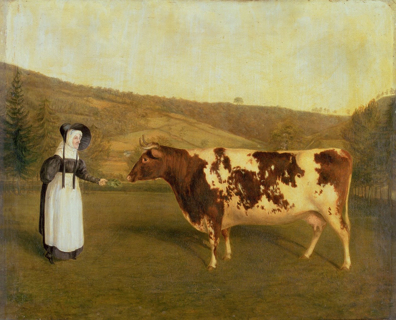 Vache Shorthorn, c.1840-50 | James Flewitt Mullock