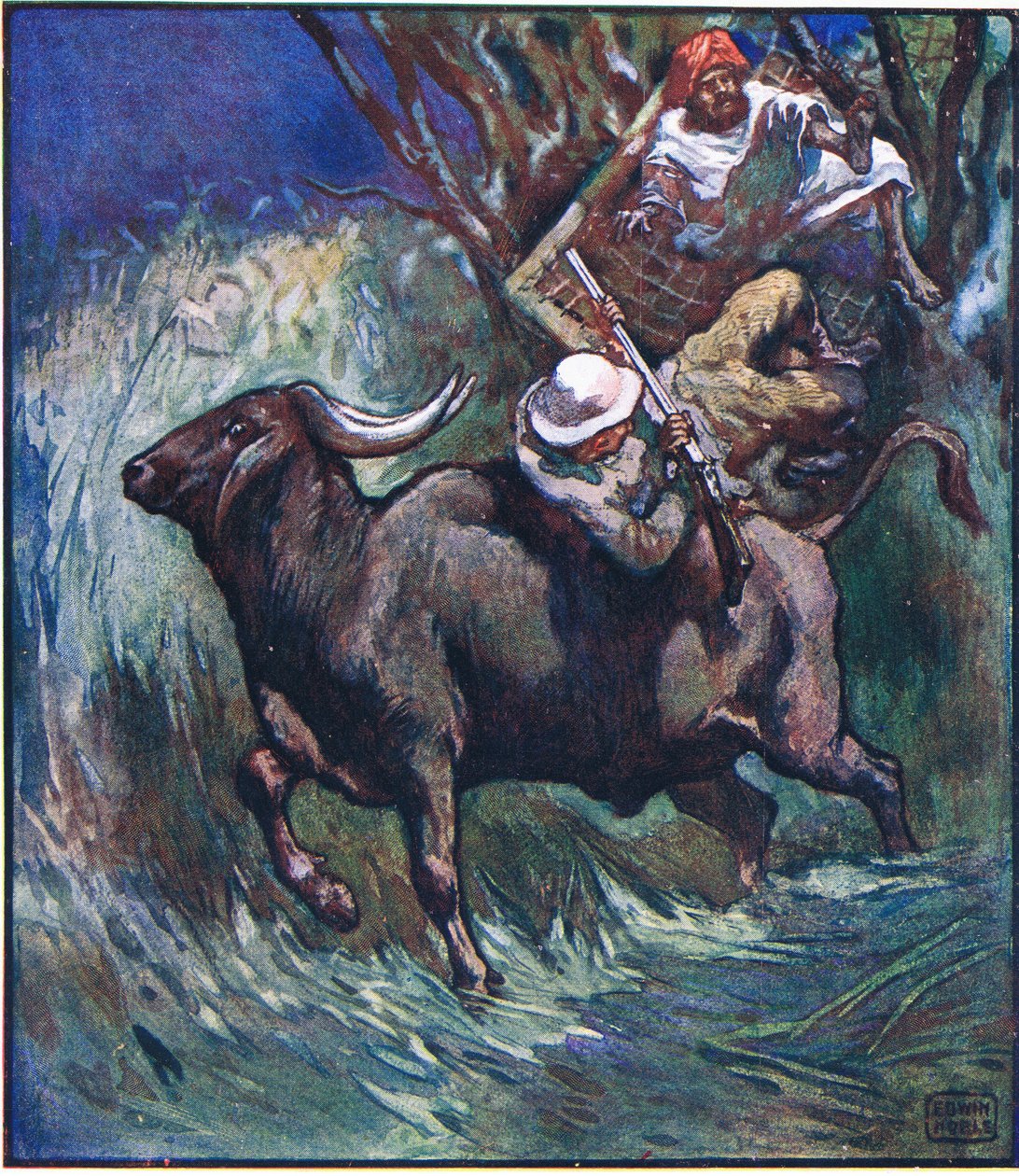 À ce moment-là, les branches cédèrent avec un grand fracas