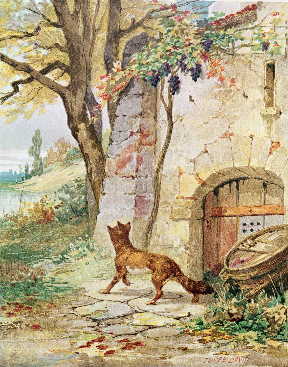 Le Renard et les Raisins, illustration pour 'Fables' de Jean de La Fontaine