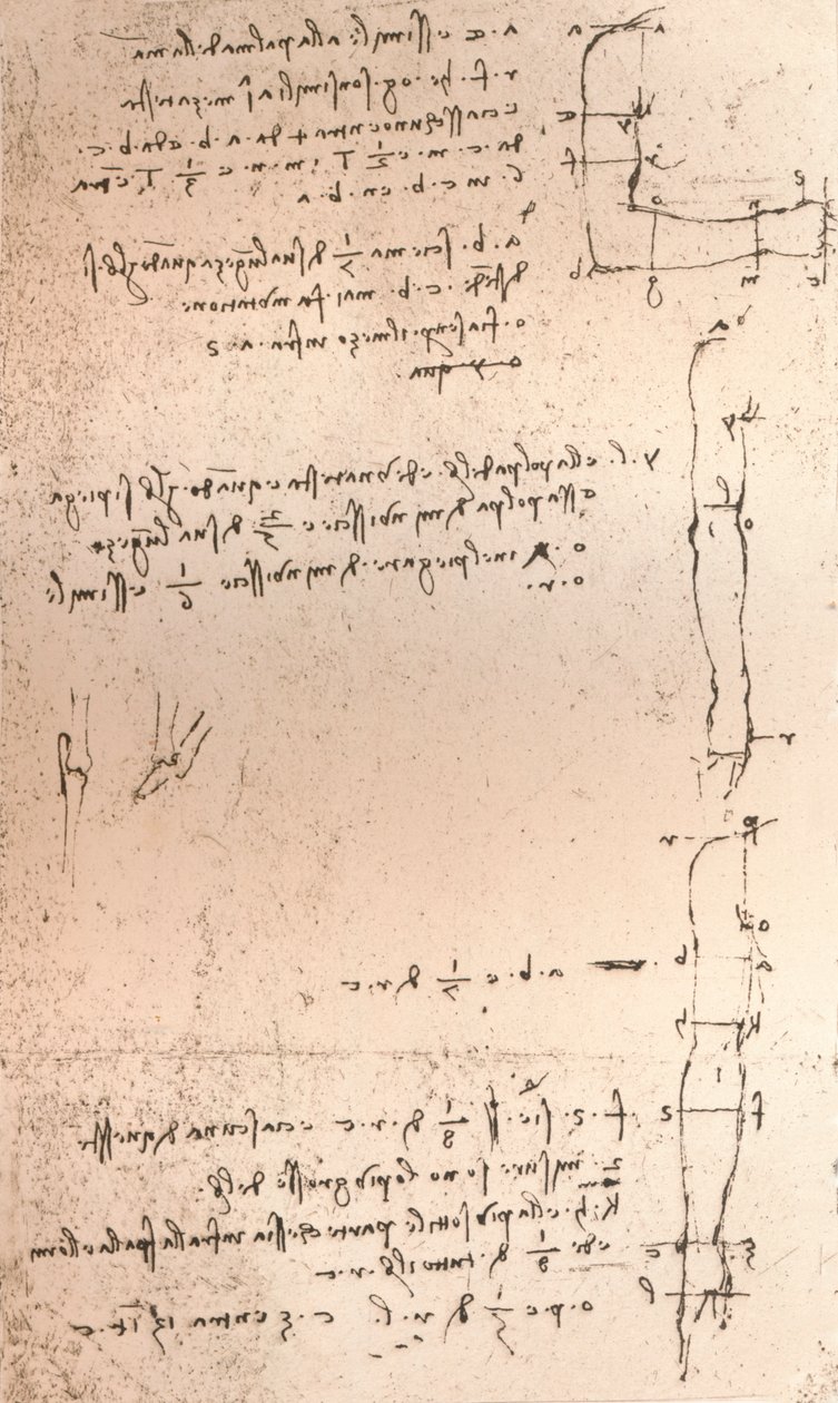 Dessin illustrant la théorie des proportions de la figure humaine, vers ...