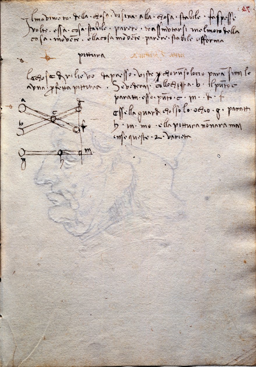 Extrait du livre des peintures, du Codex Trivulzianus