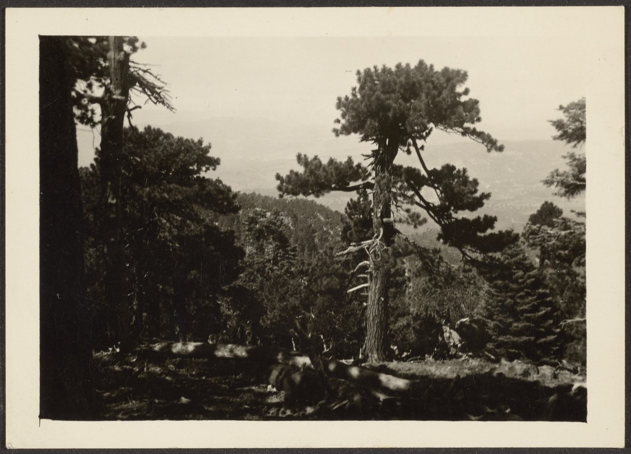 [Paysage] | Louis Fleckenstein | Estampe d'art