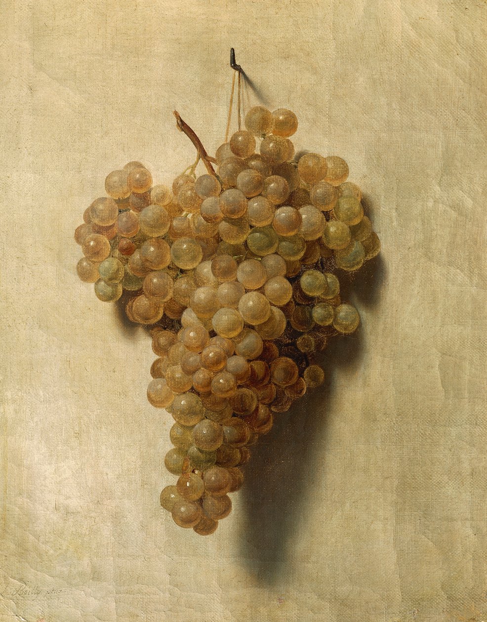 Raisin blanc | Louis Leopold Boilly | Estampe d'art