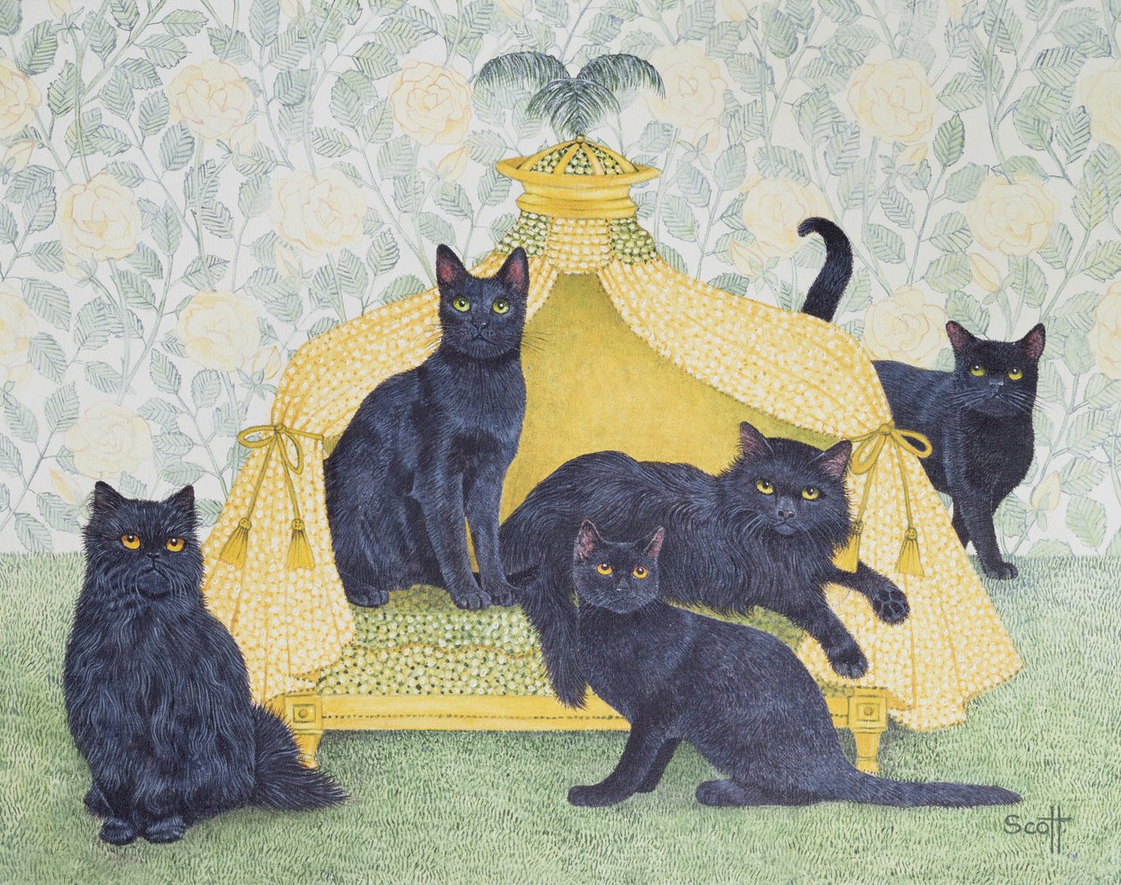 Velours noir | Pat Scott | Estampe d'art