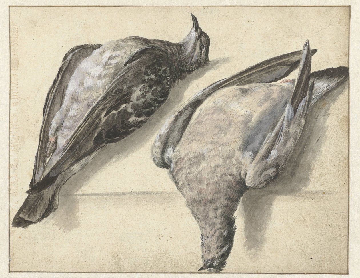 Deux pigeons morts | Rochus van Veen | Estampe d'art