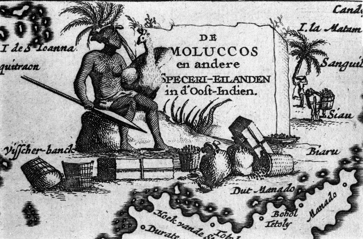 Carte de l'archipel des Moluques en Indonésie orientale. Carte ...