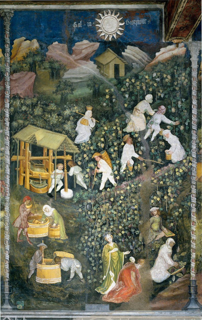 Octobre : scène de vendange, récolte des raisins et préparation du moût