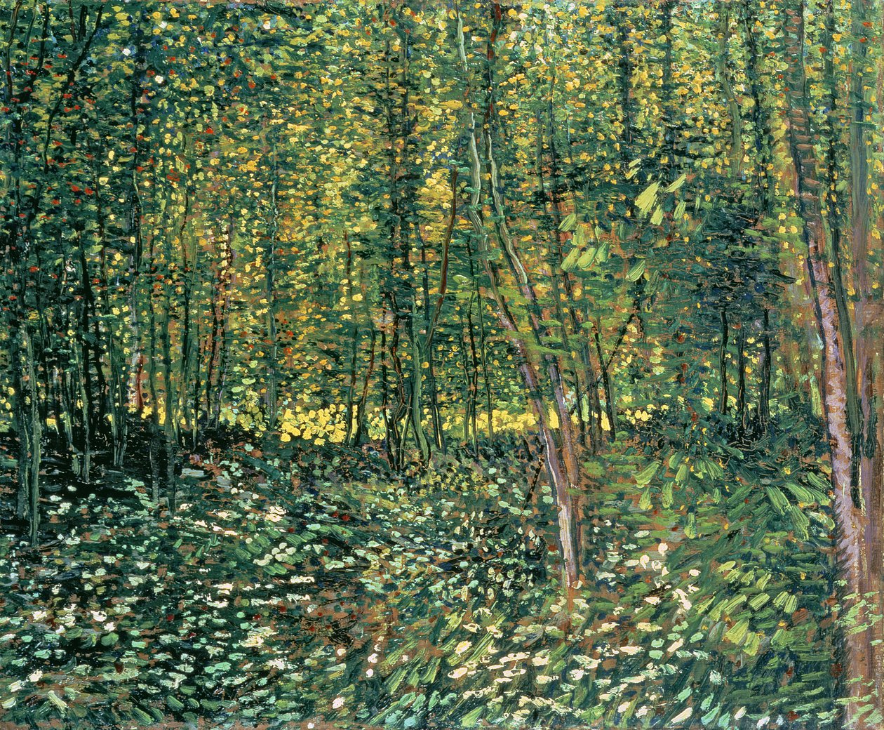 Arbres et sous-bois, 1887 | Vincent van Gogh | Estampe d'art