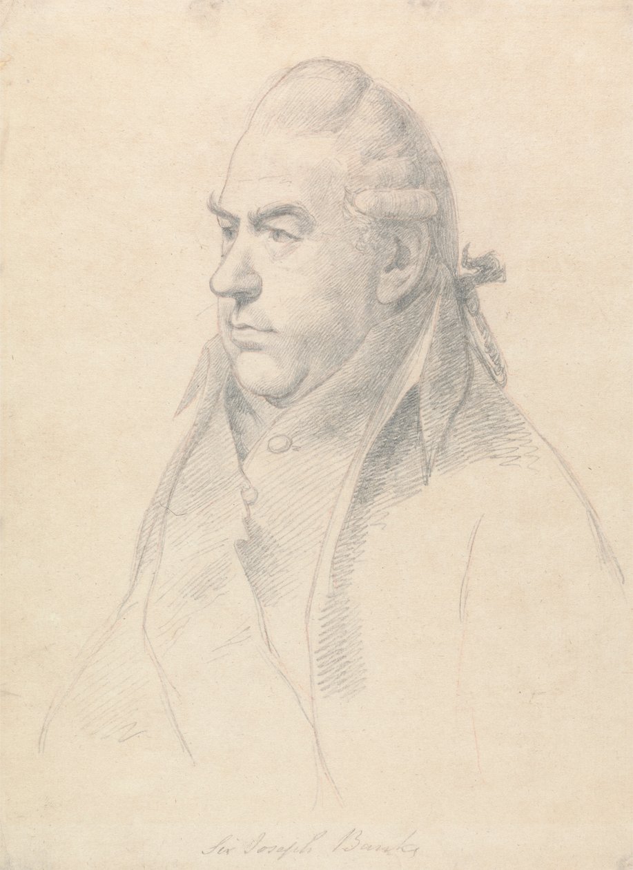 Sir Joseph Banks | William Daniell | Estampe d'art