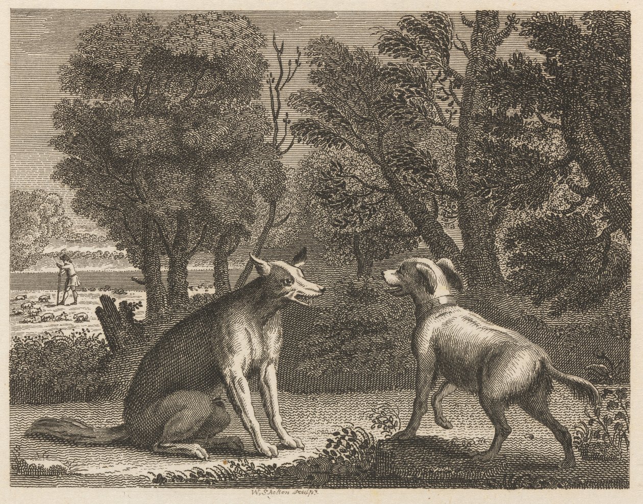 Le Chien du Berger et le Loup | William Skelton