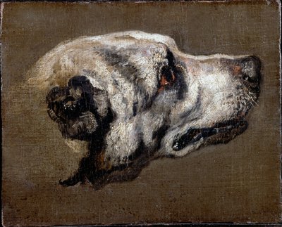 Tête de chien | Pieter or Peter Boel | Estampe d'art