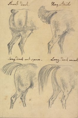Quatre croquis de queues de cheval | Sawrey Gilpin