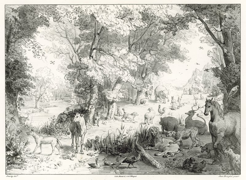 Terre : le paradis terrestre | Jan the Elder Brueghel